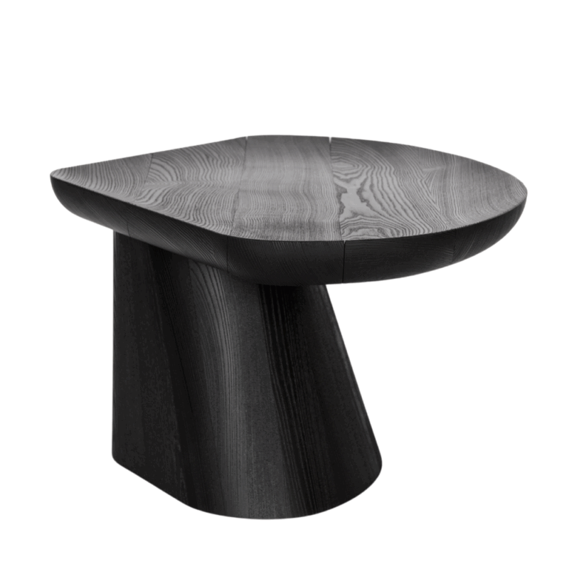 Ki Coffee Table Victoria Magniant The Invisible Collection