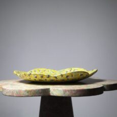Daisy Plate Uchronia The Invisible Collection