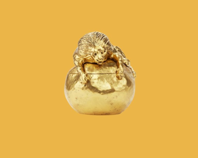 Lion Box The Invisible Collection