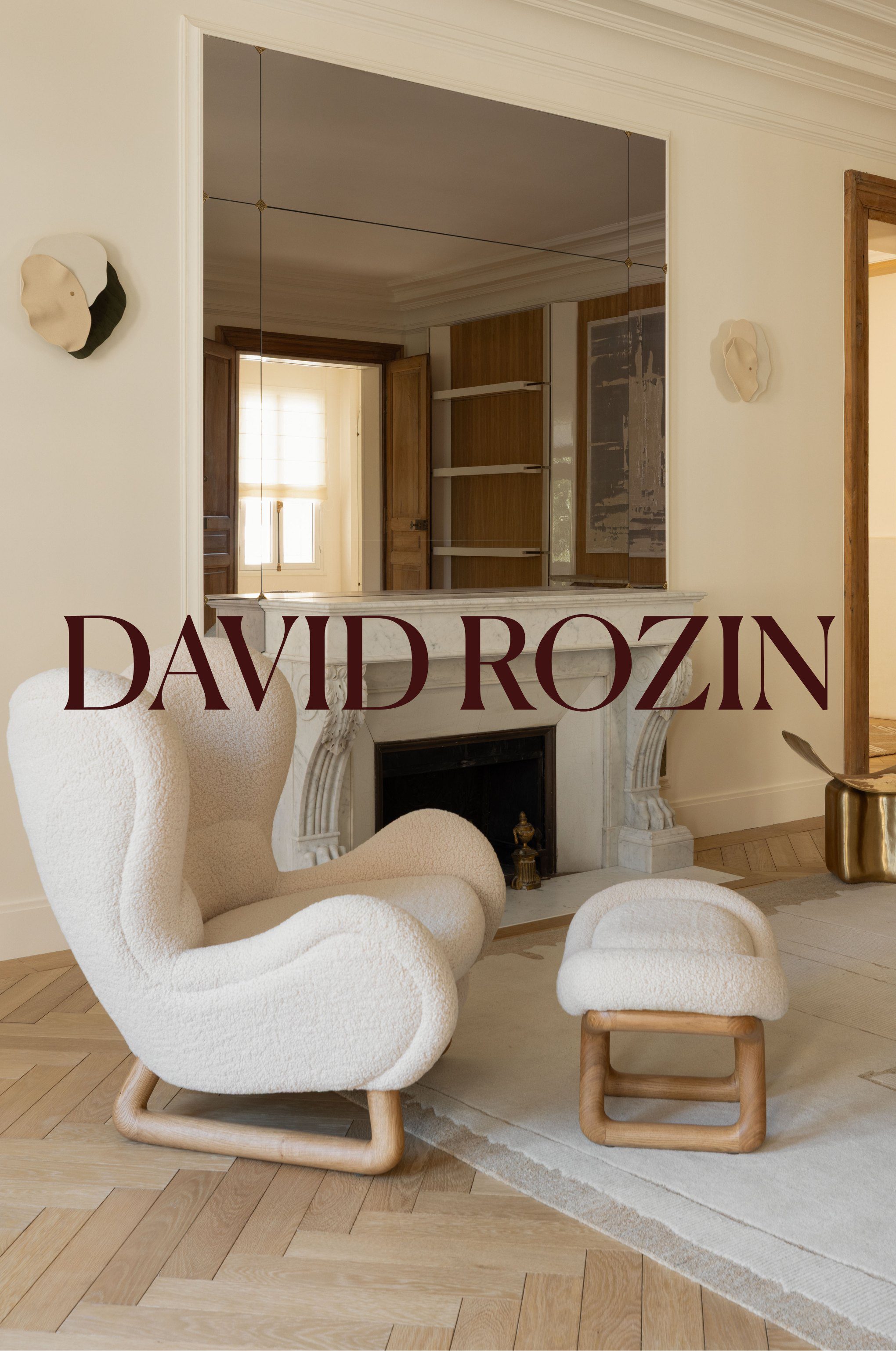 David Rozin - Collections de Designs