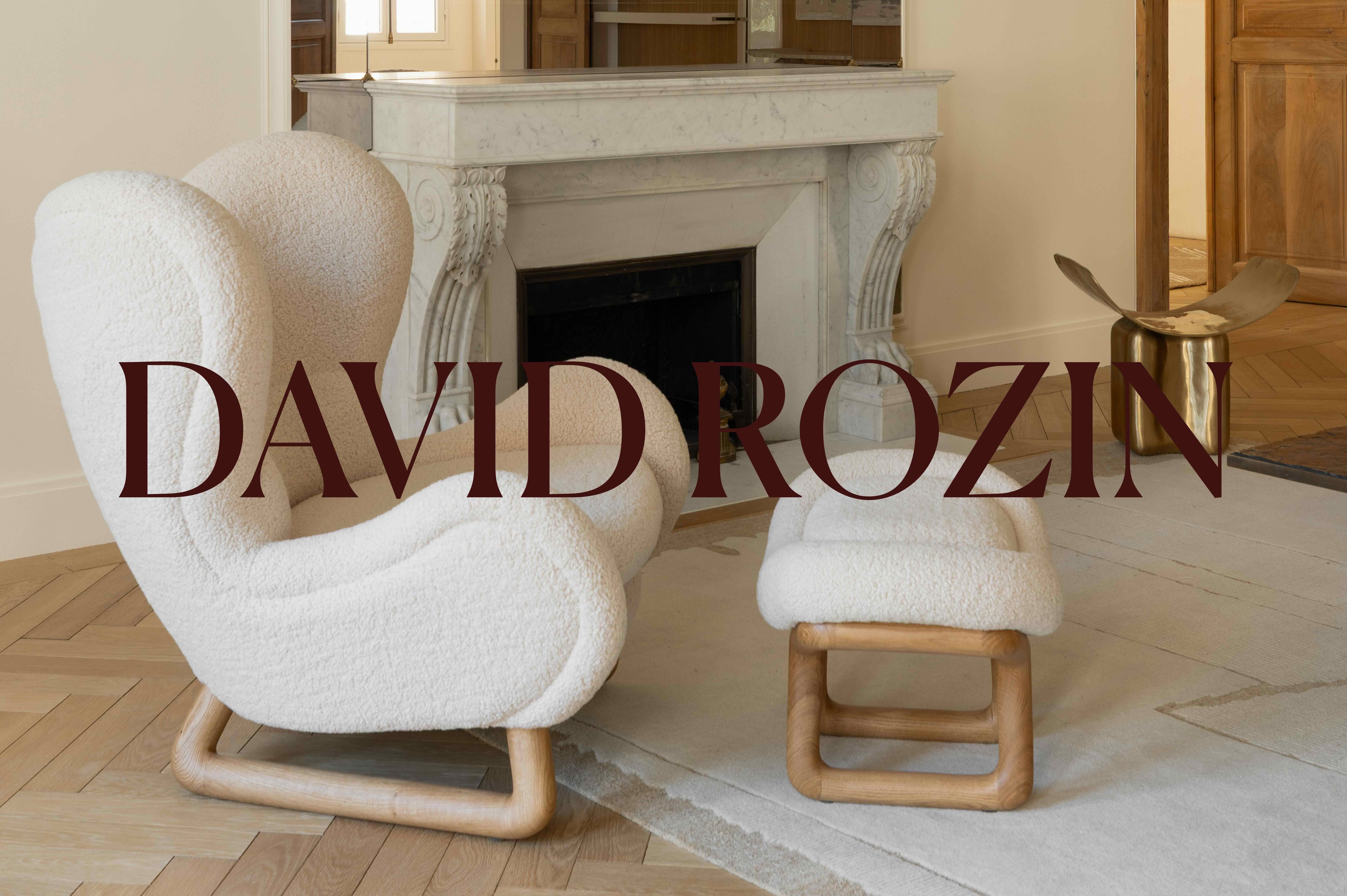 David Rozin - Collections de Designs
